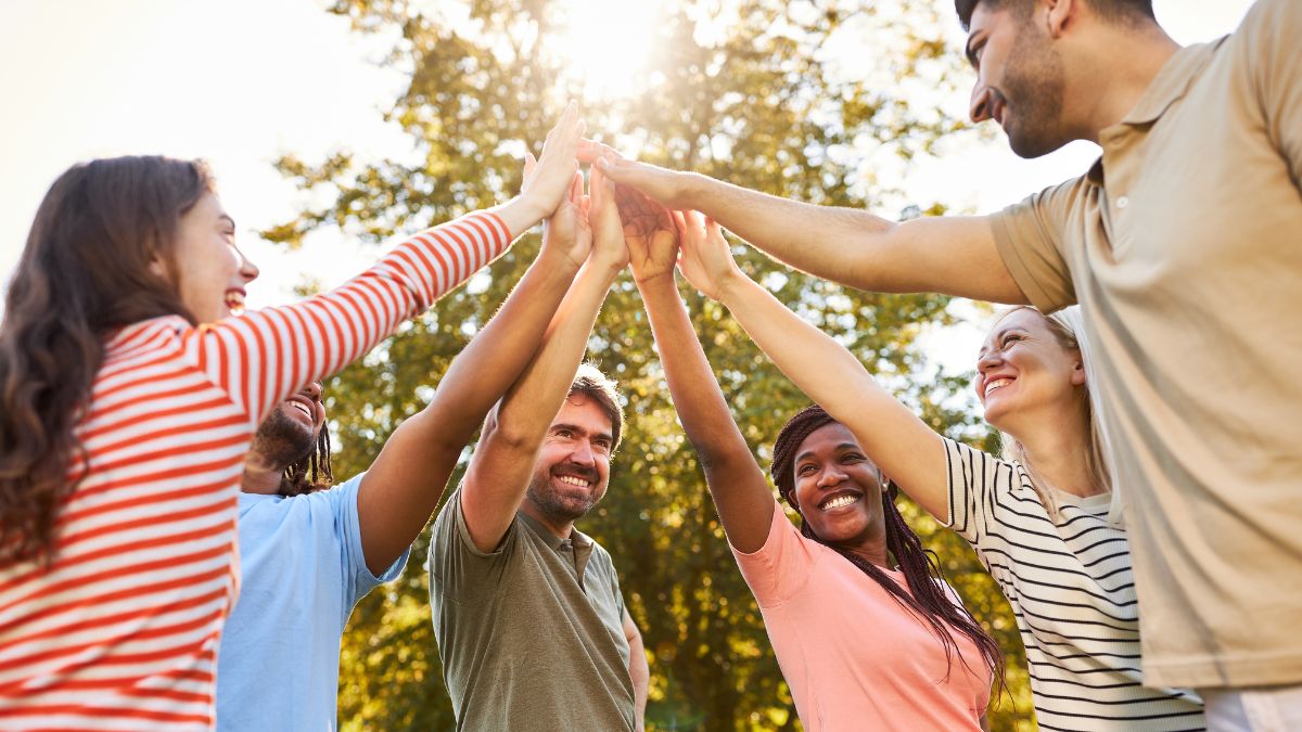 Colaboradores - Ingesto